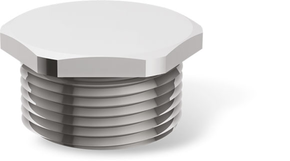 Stopping Plug With Hexagon Head | ATEX Stopper Plugs